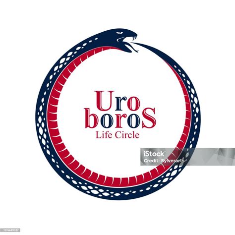 원 모양의 Ouroboros 뱀 삶과 죽음의 끝없는 주기 고대 우로보로스 기호 벡터 일러스트 뱀은 자신의 이야기 로고 엠블럼 또는 문신을 먹고 개념에 대한 스톡 벡터 아트