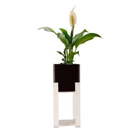 Rectangular Planter Stand Balcony Crops