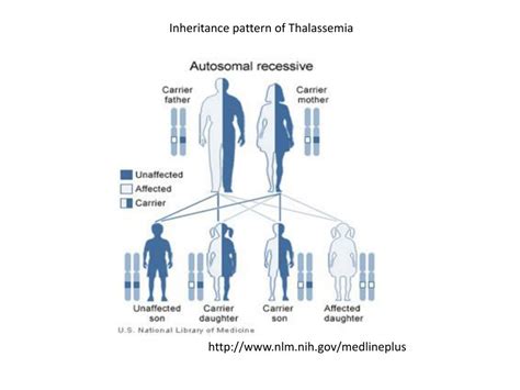 Ppt Poster Disease Project Powerpoint Presentation Free Download Id3549926