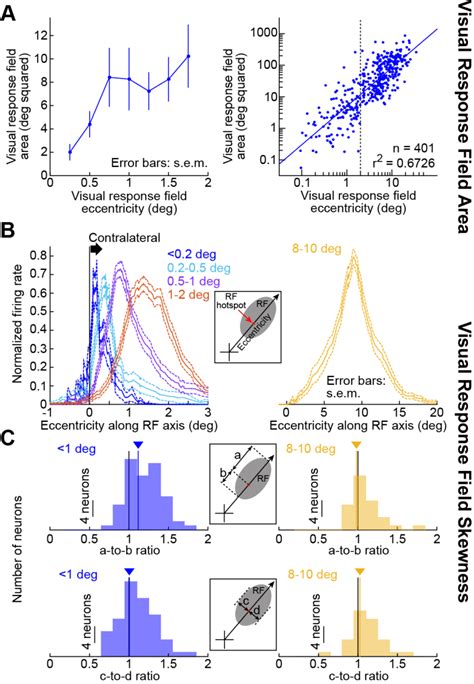Non Uniform Foveal Spatial Sampling By Sc A Left Visual Rf Area As Download Scientific