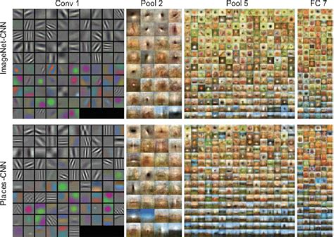 10 Visualization Of The Units Receptive Fields At Different Layers For