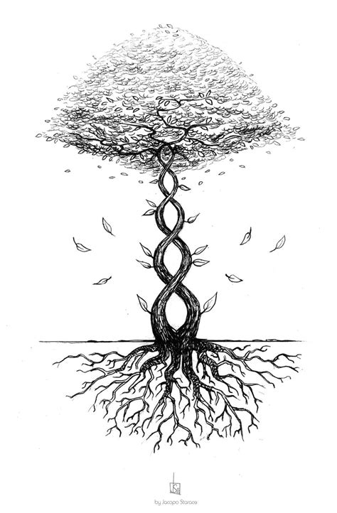 Dna Tree By 0jaco On Deviantart