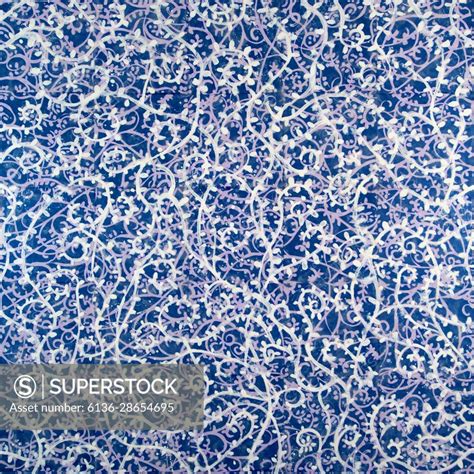 Organic Vines Tangle And Intertwine Across The Surface Plane Of This