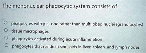 The Mononuclear Phagocytic System Consists Of O Phagocytes With Just One Rather Than Multilobed