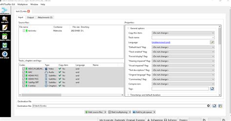 Issue With Mkvtoolnix Gui V900 V910 Help Mkvtoolnix Community Issue With Mkvtoolnix Gui V900 V910 Help Mkvtoolnix Community