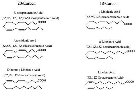 Eicosanoid Structure