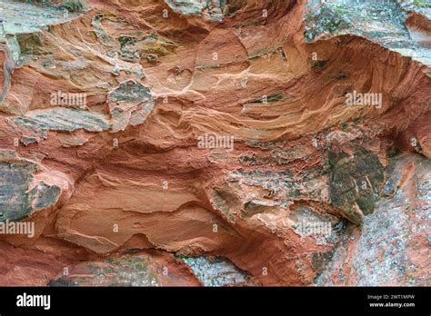 Venturing Into The Heart Of The Red Cliffs Of Cesis Visitors Are
