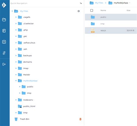 CrownCloud Wiki How To Get Started With Nodejs App In Directadmin