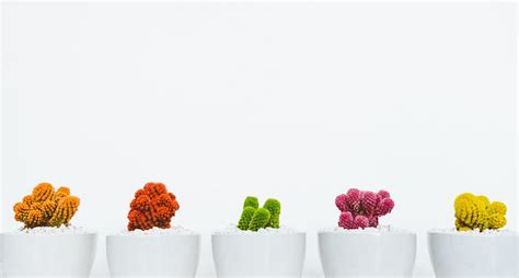 區塊鏈 12 自製一個以太坊私有鏈（一） 建立以太坊私有鏈並挖礦 By Megan Learn And Record Medium