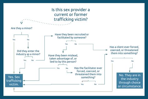 Intersections Of Human Trafficking The Commercial Sex Industry HTI Labs