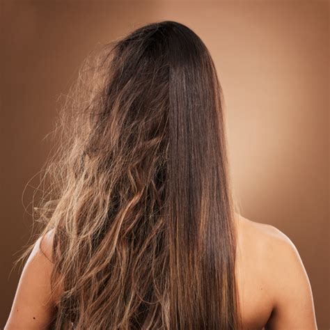 Know Your Frizzy Hair Type Latinus Beauty