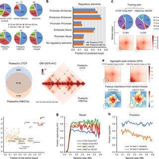 PDF A Supervised Learning Framework For Chromatin Loop Detection In Genome Wide Contact Maps