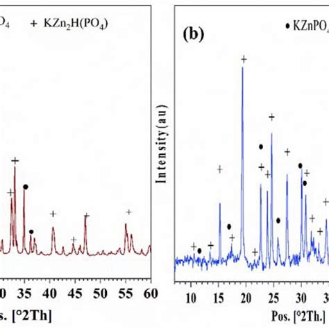 Open Circuit Potential Ocp Of Steel Versus Immersion Time In Free
