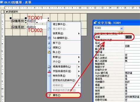 Chandler MS Access Query Parameters From Forms