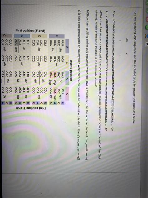Solved Use The Following DNA Sequence And The Included Table Chegg