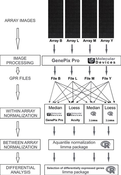 General Scheme Of Experiment Four Microarrays Were Used For Gene Download Scientific Diagram