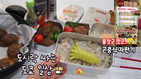 두번의 도시락 기록🍱고향납세 답례품으로 집밥 대잔치🍻크리스마스로 꽃단장한 일본 다이소 장보기🛒이케부쿠로 선샤인시티 신기했던 곤충식 자판기😮리코먹방 도쿄 일상