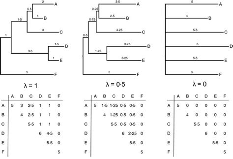 Phylogenies And Corresponding Variance Covariance Matrices For Three