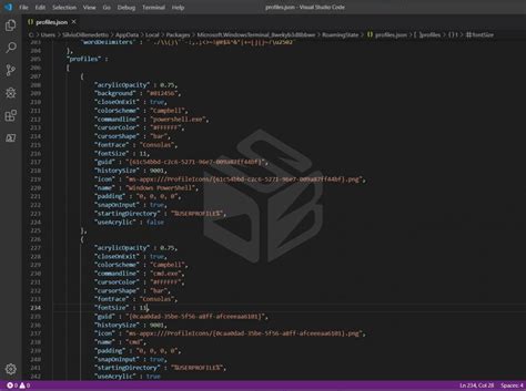 Silvio Di Benedetto How To Personalize Windows Terminal