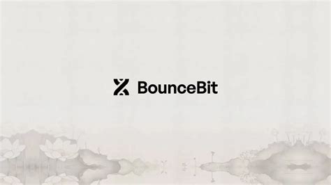 Plano De 2025 Da Bouncebit Expandindo Cedefi Com Rwas