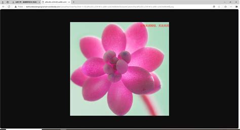 Bug 3745 【新建订单 订单总览】点击出口报关中的文件时，没有关闭按钮，无法关闭 物流管理系统 禅道