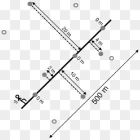 Line Transect Method HD Png Download Vhv