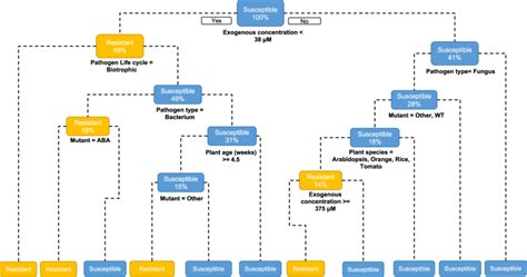 decision tree dt including our experimental data predicting a binary
