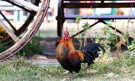 The Bartels Farm Pumpkin Patch Updated December 2025 21 Photos And 20 Reviews 3424 E Douglas
