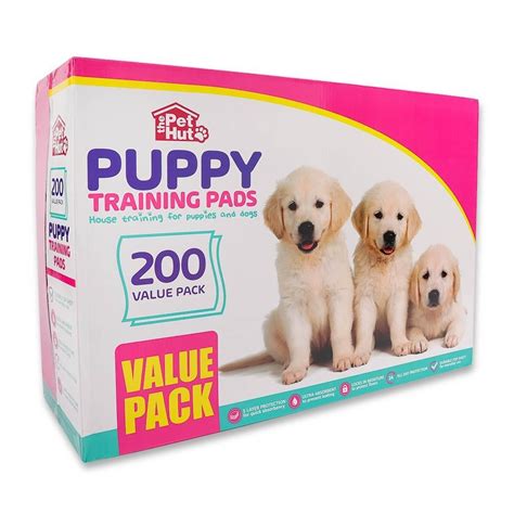 How To Hide Puppy Pads at Candis Langdon blog