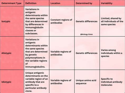 Understanding Isotypic Allotypic And Idiotypic Determinants