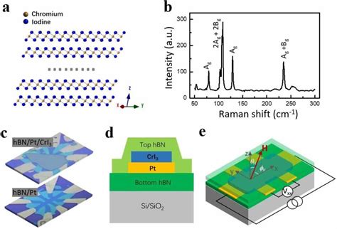 Cri3 Structure And Device Schematics A Side View Of Cri3 Layers In Download Scientific