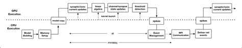 timeline showing the workflow of gpu enabled coreneuron execution