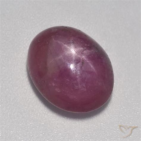 Loose Star Ruby Natural 6 Ray Star Rubies For Gemstone Collectors And