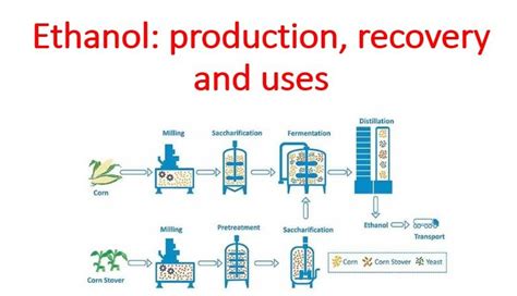 Ethanol Fermentation Process
