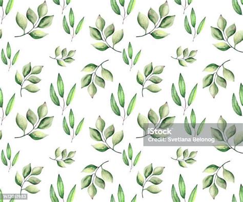 노란색 배경에 녹색 잎과 유칼립투스와 매끄러운 패턴 직물 벽지 포장 및 침대 린넨에 대한 수채화 배경 0명에 대한 스톡 벡터 아트 및 기타 이미지 Istock