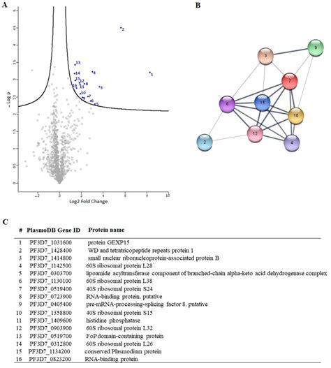 pfgexp15 interactome analysis a volcano plot representation of