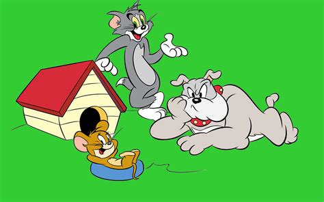 [200 ] Tom And Jerry Cartoon Pictures
