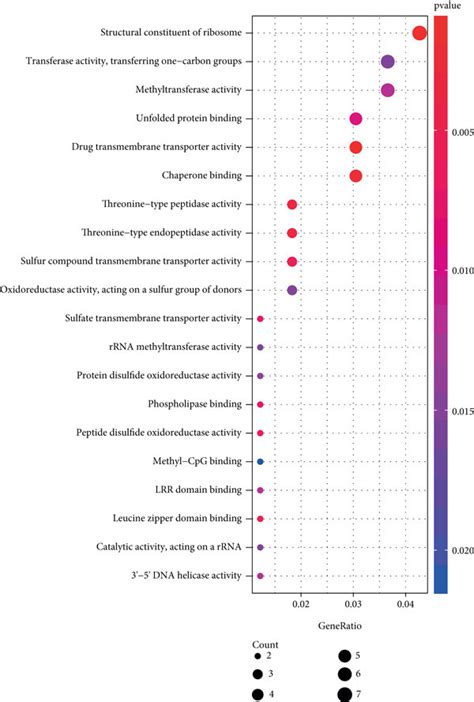 Functional Enrichment Analysis For Go And Kegg A Biological Process