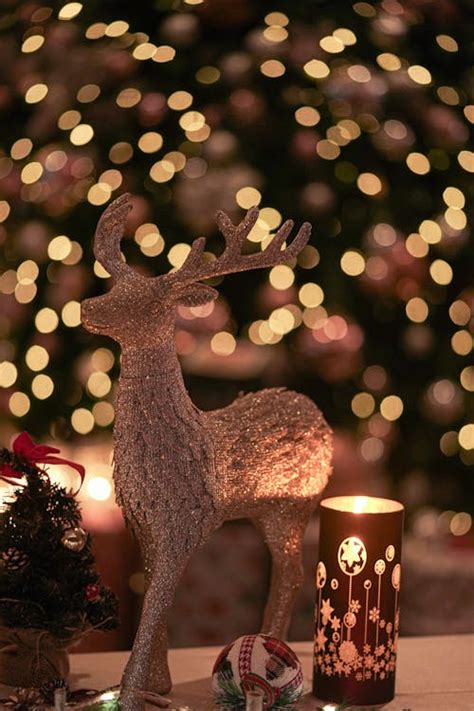 겨울 계절 고요한 따뜻한 빛 메리 크리스마스 반짝이 반짝이는 불빛 반짝임 보케 보케 배경 불빛 비네팅 샹들리에 효과 성탄절 셀렉티브 포커스 소프트