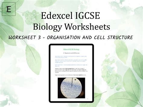 Edexcel IGCSE Biology Worksheet 3 Organisation And Cell Structure Teaching Resources