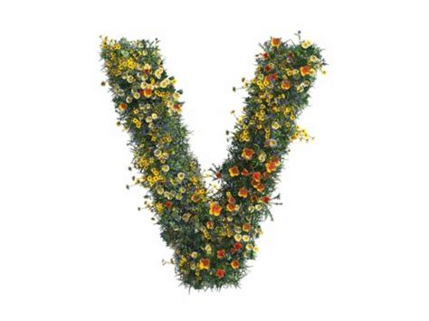 Artificial Moss Fake Moss Faux Moss Commercial Silk