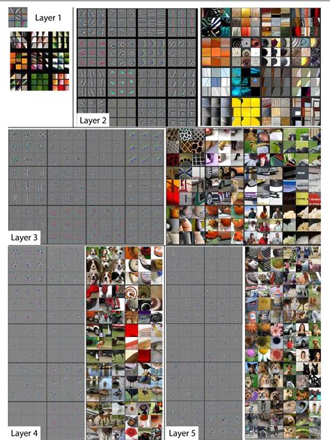 deep learning understanding the results of visualizing and