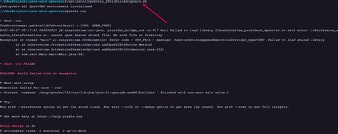 While Openvino As Execution Provider With Onnxruntime In Java And Python Get Error Failed To
