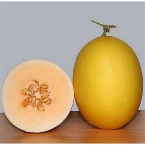 Jual Buah Melon Kuning Golden Melon Shopee Indonesia