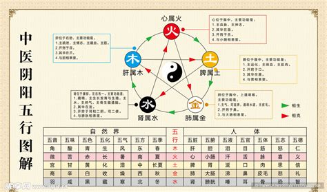 中医阴阳五行图解设计图 Psd分层素材 Psd分层素材 设计图库 昵图网