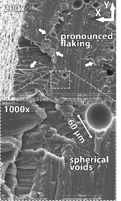 Sem Imaging Of Treated Sample Printed In Vertical Orientation