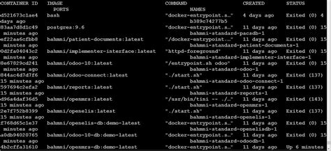 How To Restart Bahmni Docker Containers Status Showing Exited Bahmni Openmrs Talk