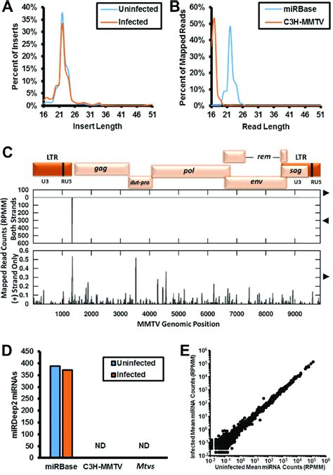 Analysis Of Small Rna Seq Libraries Prepared From Cultured Hc11 Cells