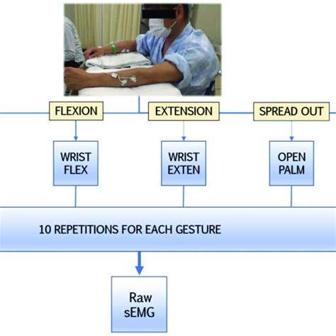 The Experimental Protocol For Detecting Semg Signals During Gestures