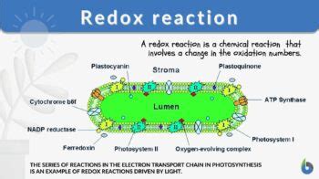 Redox Reaction Definition And Examples Biology Online Dictionary
